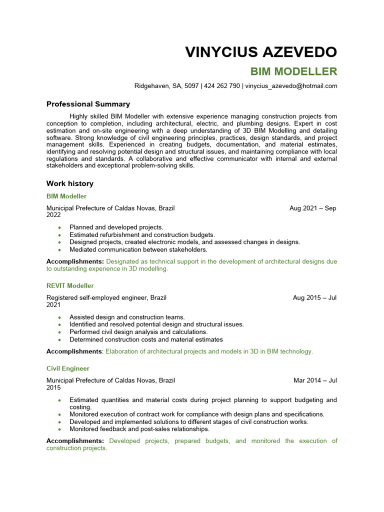 Cv Vinycius Bim Modeller Pdf Art