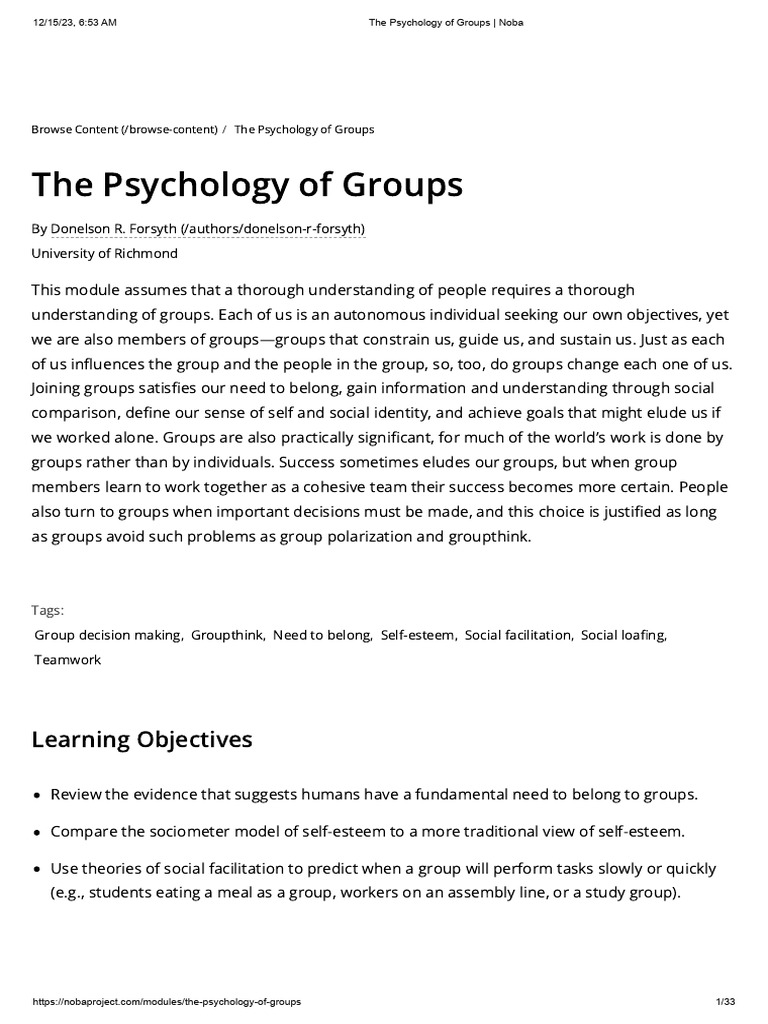 The Psychology of Groups - Noba | PDF