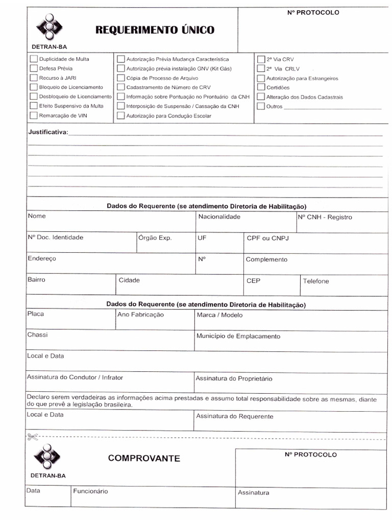 Requerimento Unico | PDF