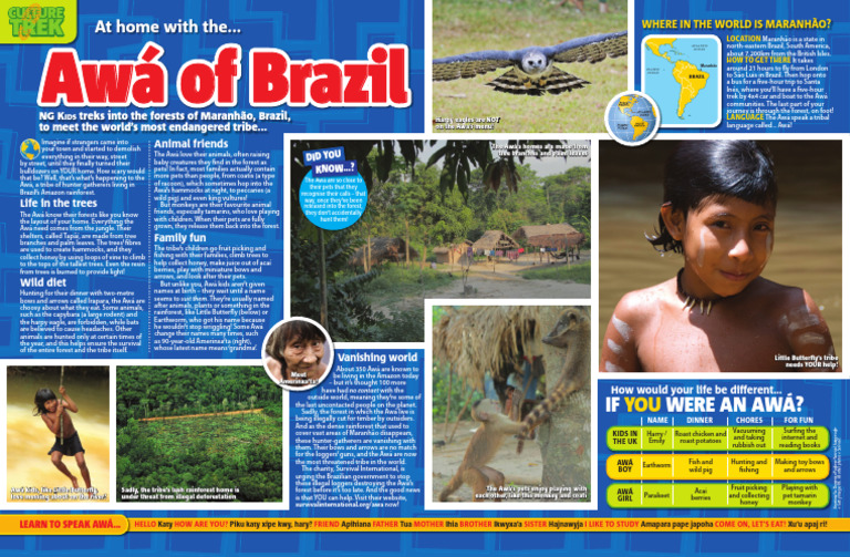 Awa Tribe of Brazil Primary Resource1 | PDF