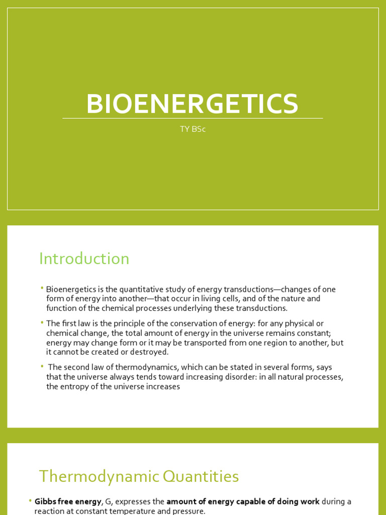 Bioenergetics | PDF