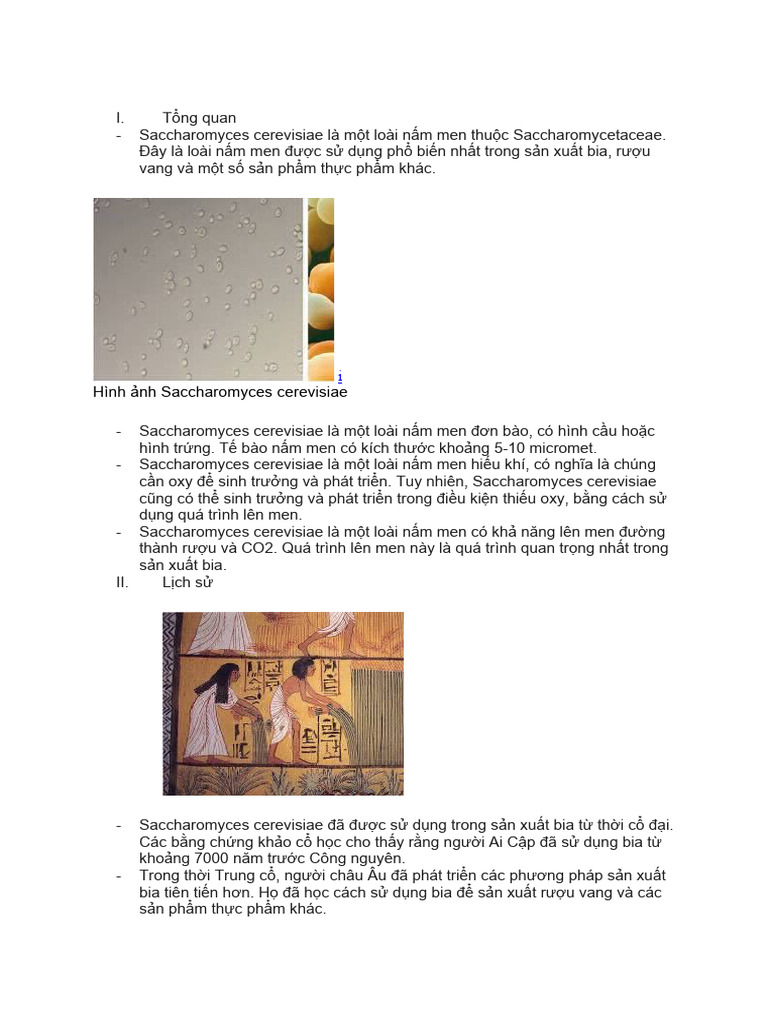 tiểu luận vsv | PDF