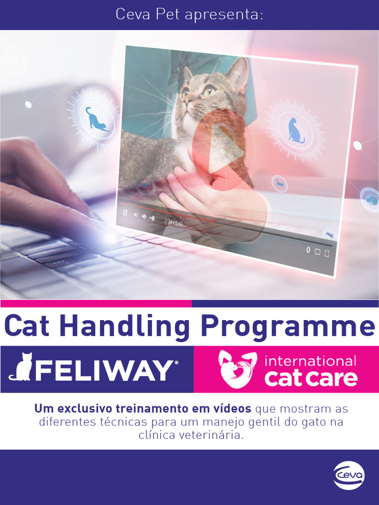 Cat Handling Cat Congress | PDF