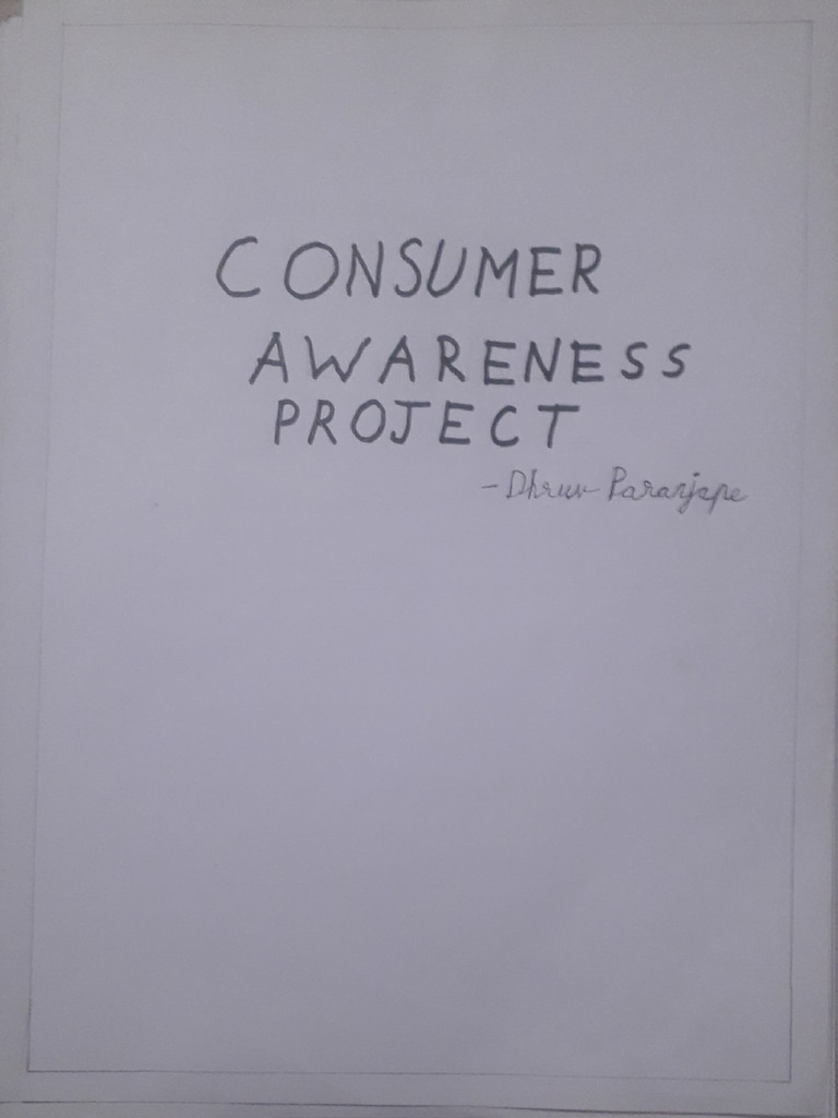 Dhruv Paranjape Economics Project | PDF