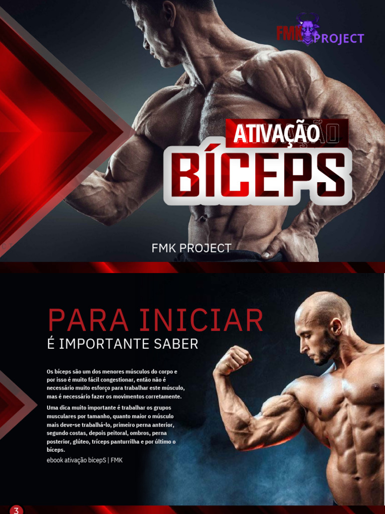 E-Book - Biceps 2 | PDF