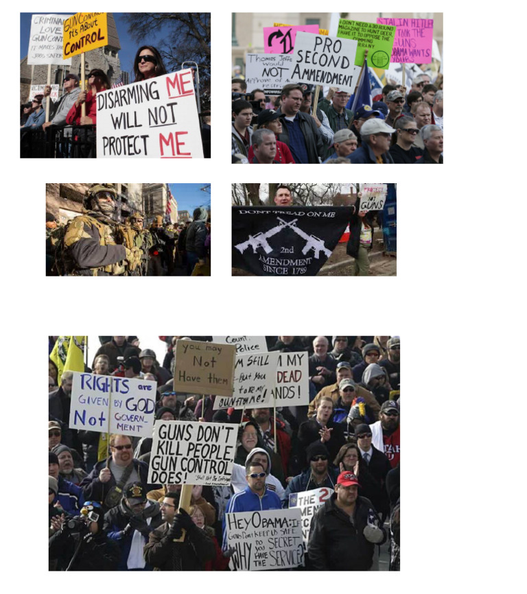 Pro Guns Rallies and Arguments | PDF