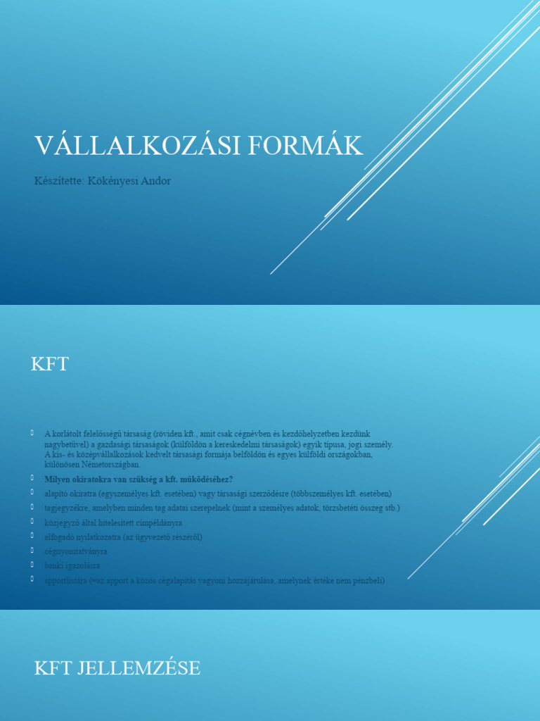 Vállalkozási Formák | PDF