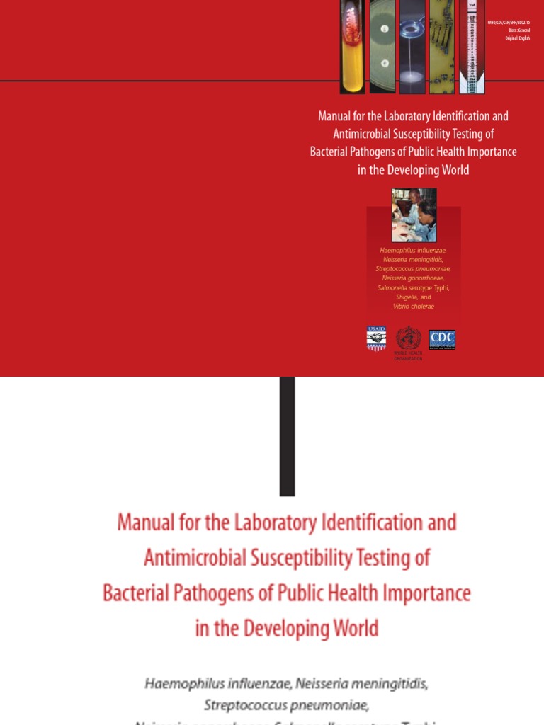 Manual For Lab ID, AST-Cdc, Who | PDF | Meningitis | Microbiology