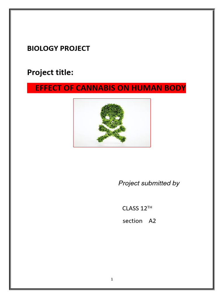 Cannabis Effects on Human Health | PDF | Medical Cannabis | Cannabis (Drug)