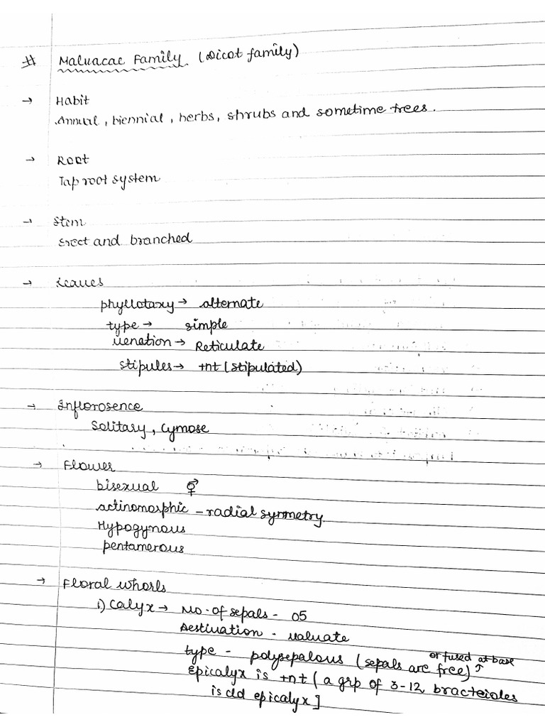 DocScanner Oct 19, 2023 2-24 PM | PDF