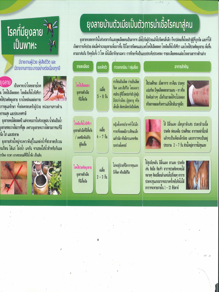 Core Dispatch 172553 2 | PDF