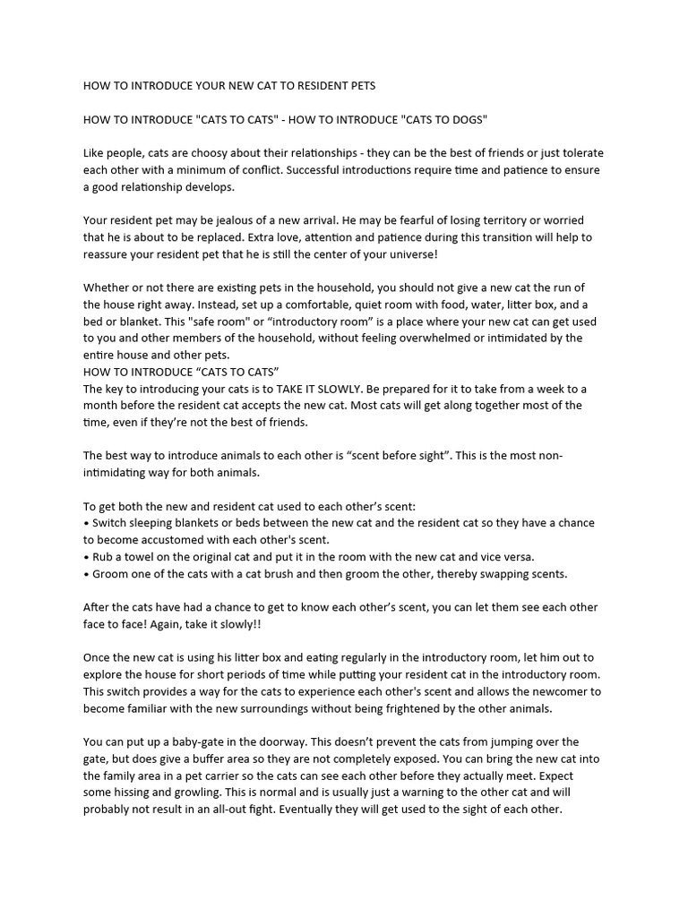 How To Introduce Your New Cat To Resident Pets | PDF