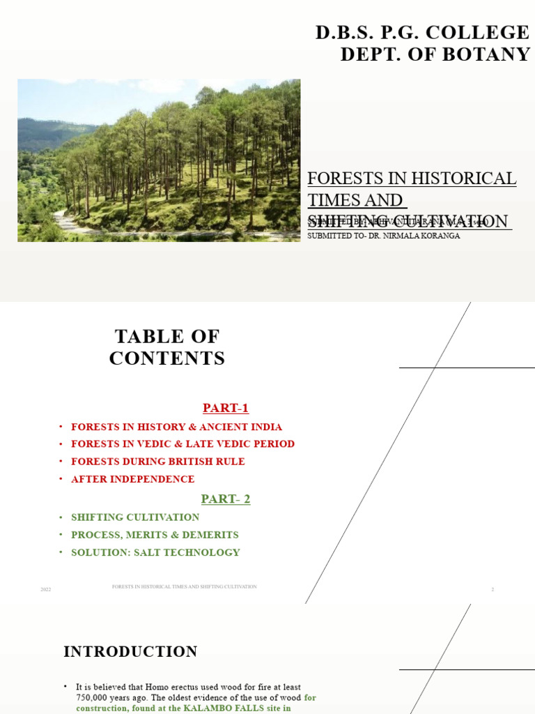 Forests | PDF