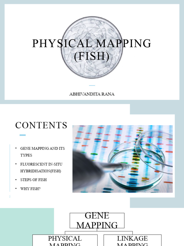 Physical Mapping | PDF