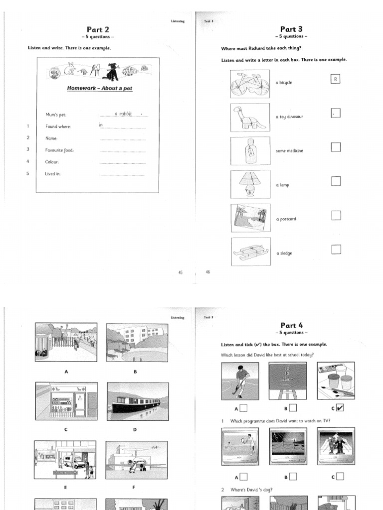 Flyer 6 Test 3 Pdf