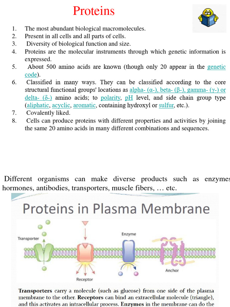 Final Biochemistry | PDF