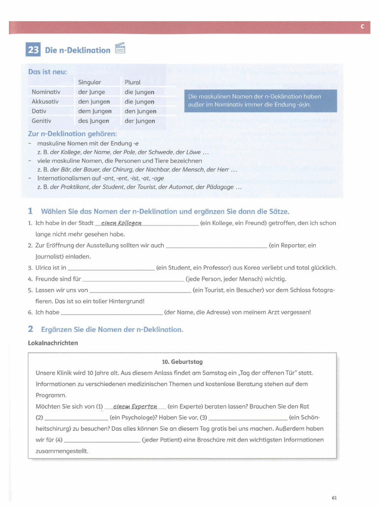 n-Deklination | PDF