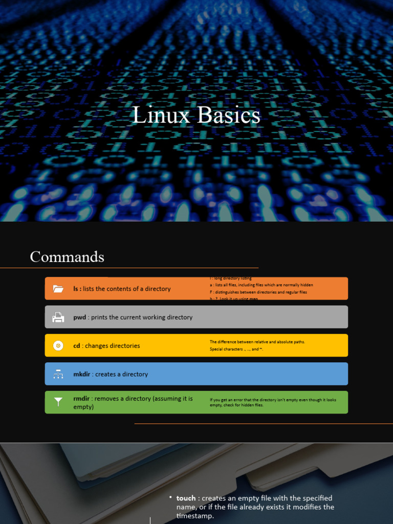 Linux Basics | PDF