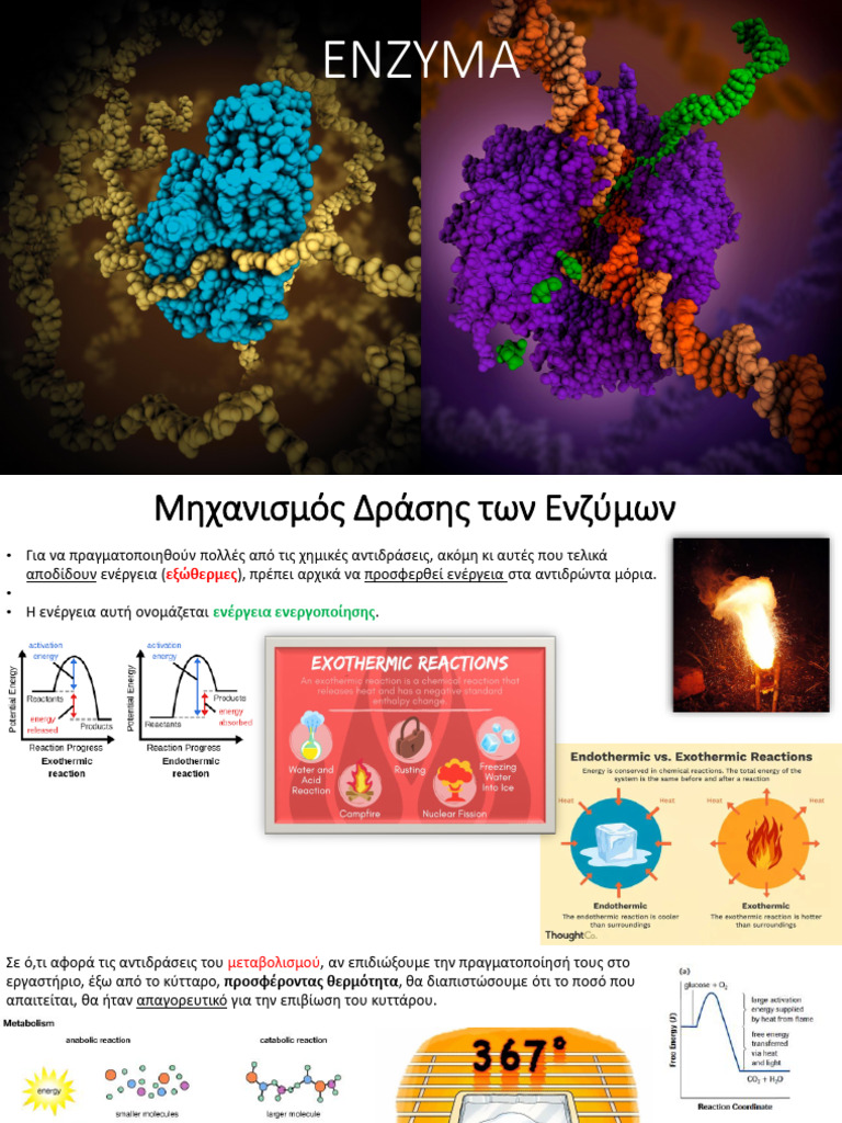 ENZYMA by Dimitris Katsidoniotis | PDF
