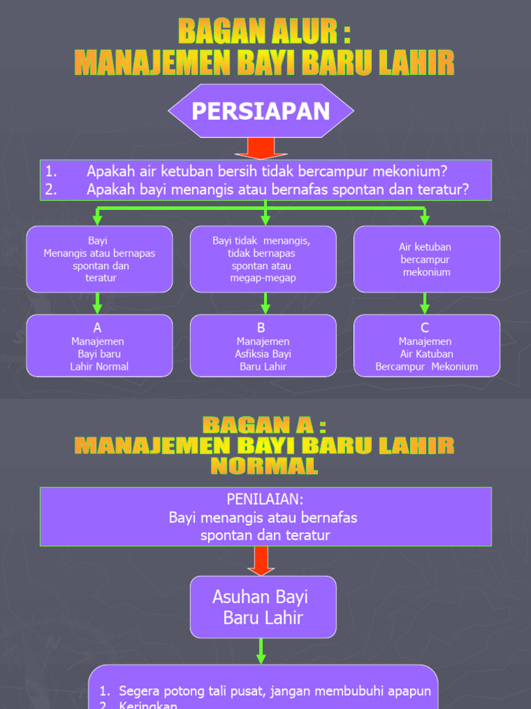 Prosedur Penanganan Bayi Baru Lahir | PDF