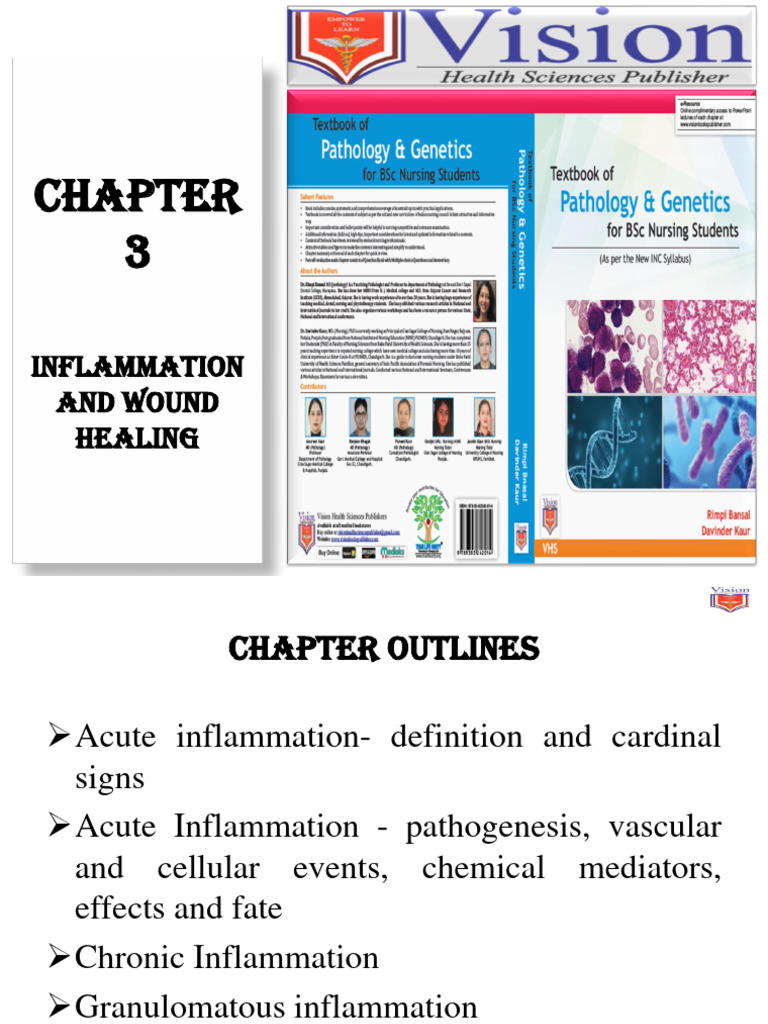 Pathology Chapter 3 Inflammation and Wound Healing | PDF