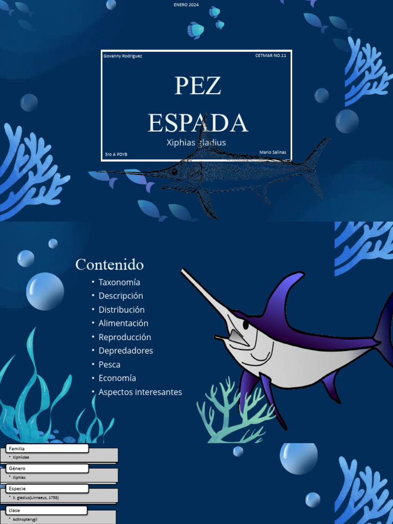 Foca | PDF