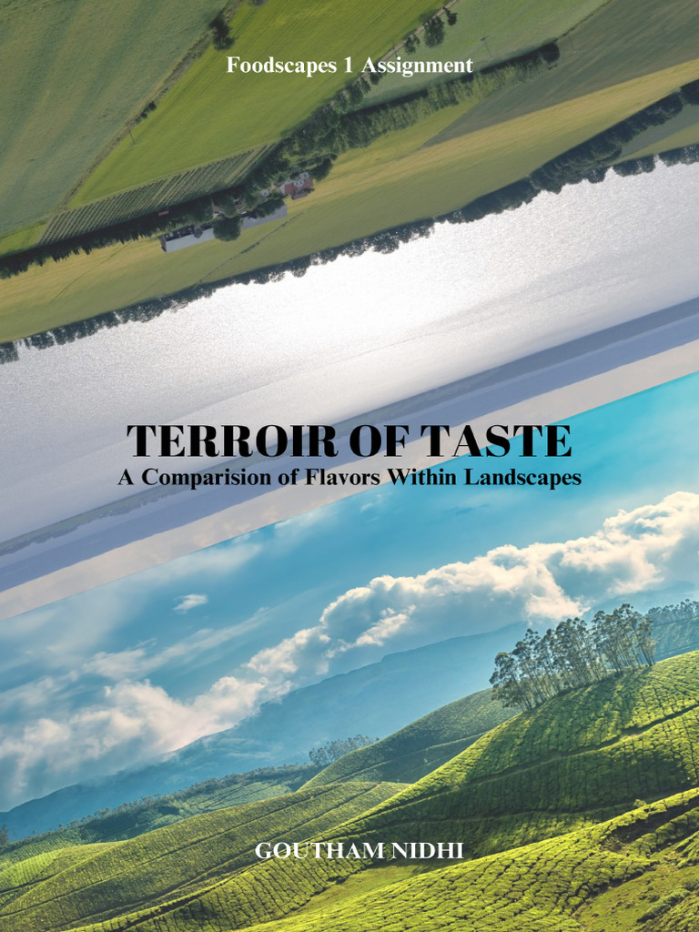 Terroir of Taste | PDF
