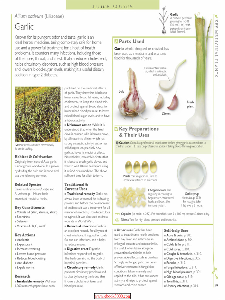 Encyclopedia of Herbal Medicine-4 | PDF