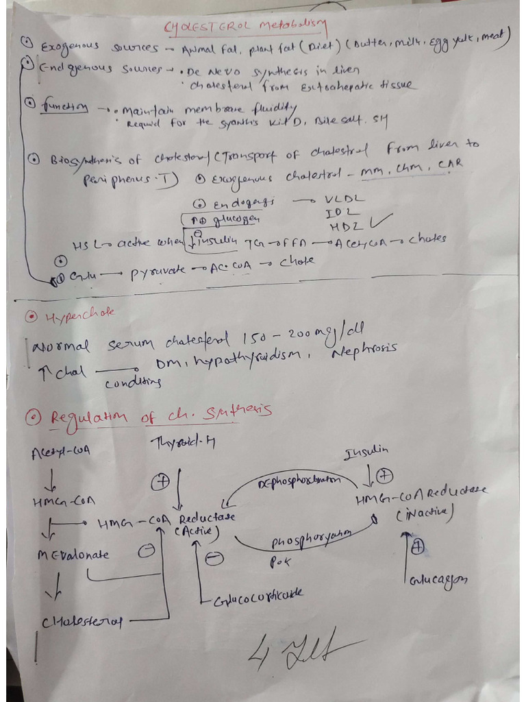 Cholesterol Metabolism Pdf