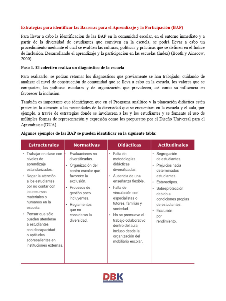 Estrategias para Identificar Las Barreras para El Aprendizaje y La Participación (BAP) | PDF