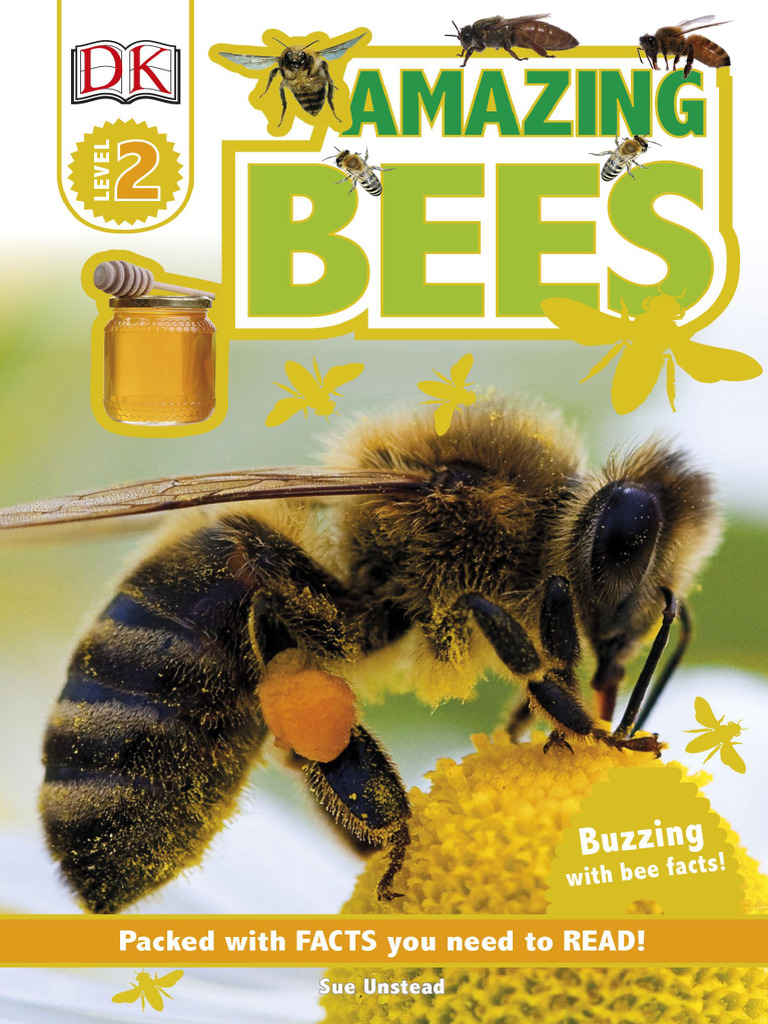 Amazing Bees DK Readers L2 | PDF