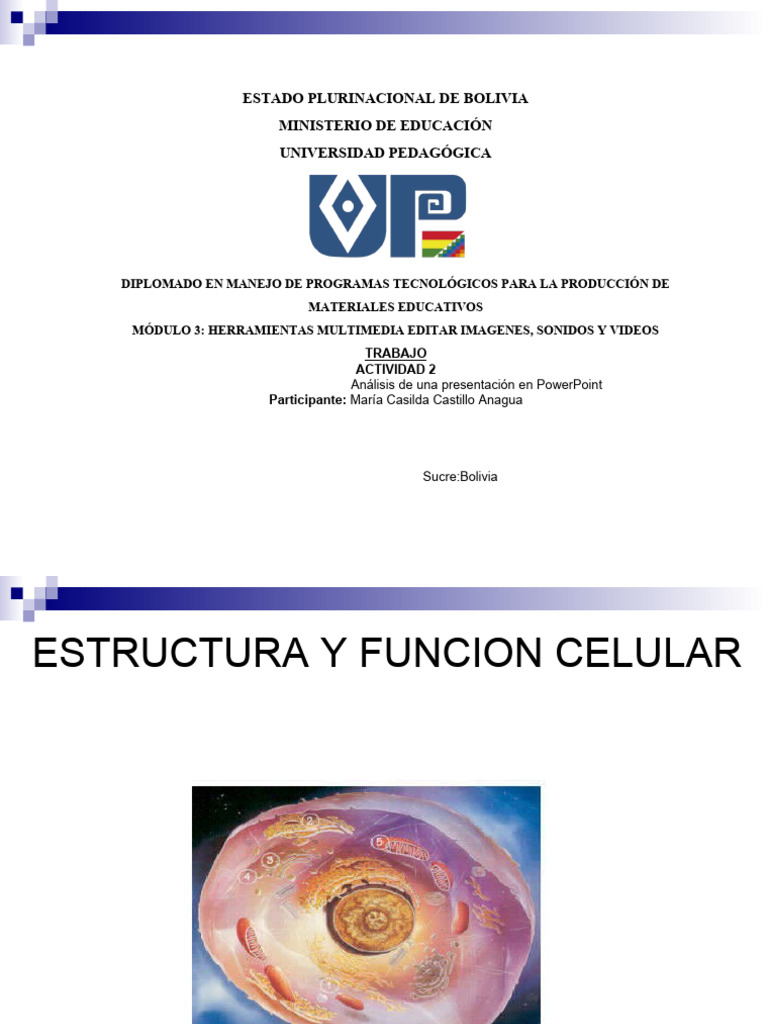 La Célula Unidad Estructural Y Funcional De Los Seres Vivos Pdf