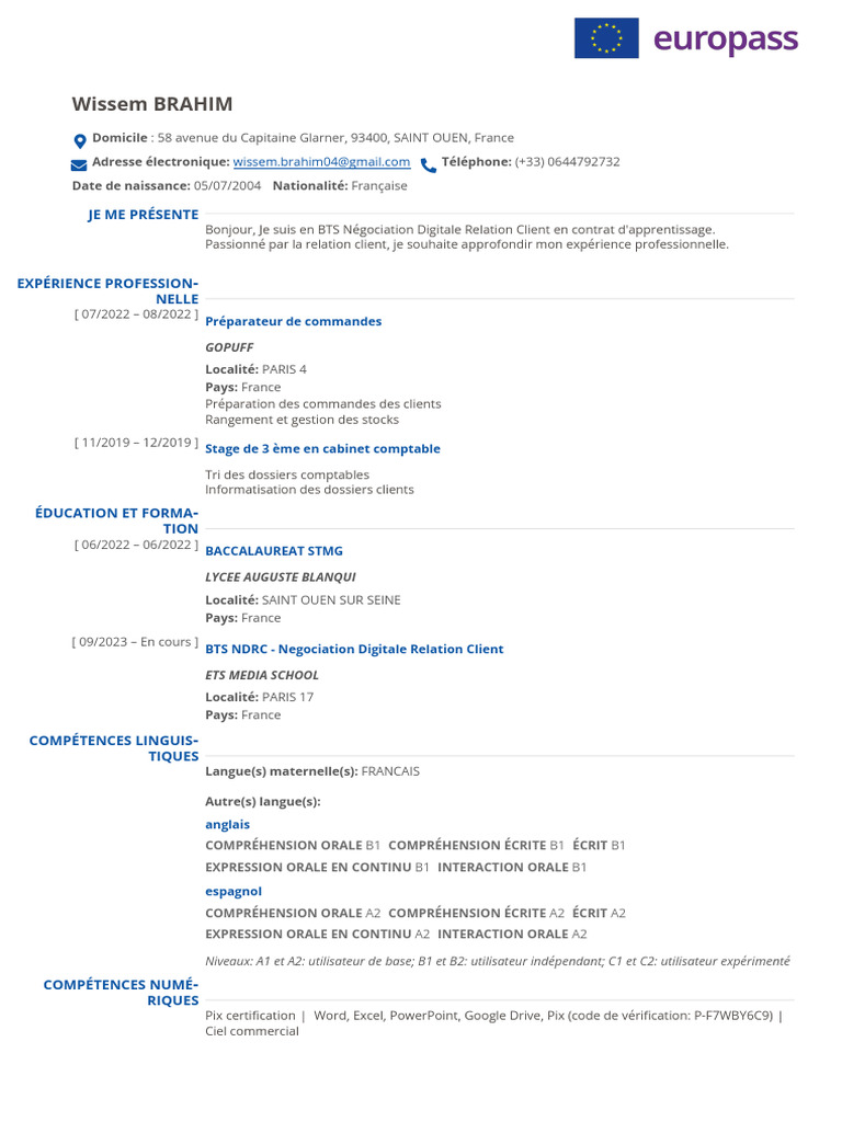 CV Wissem Europass | PDF