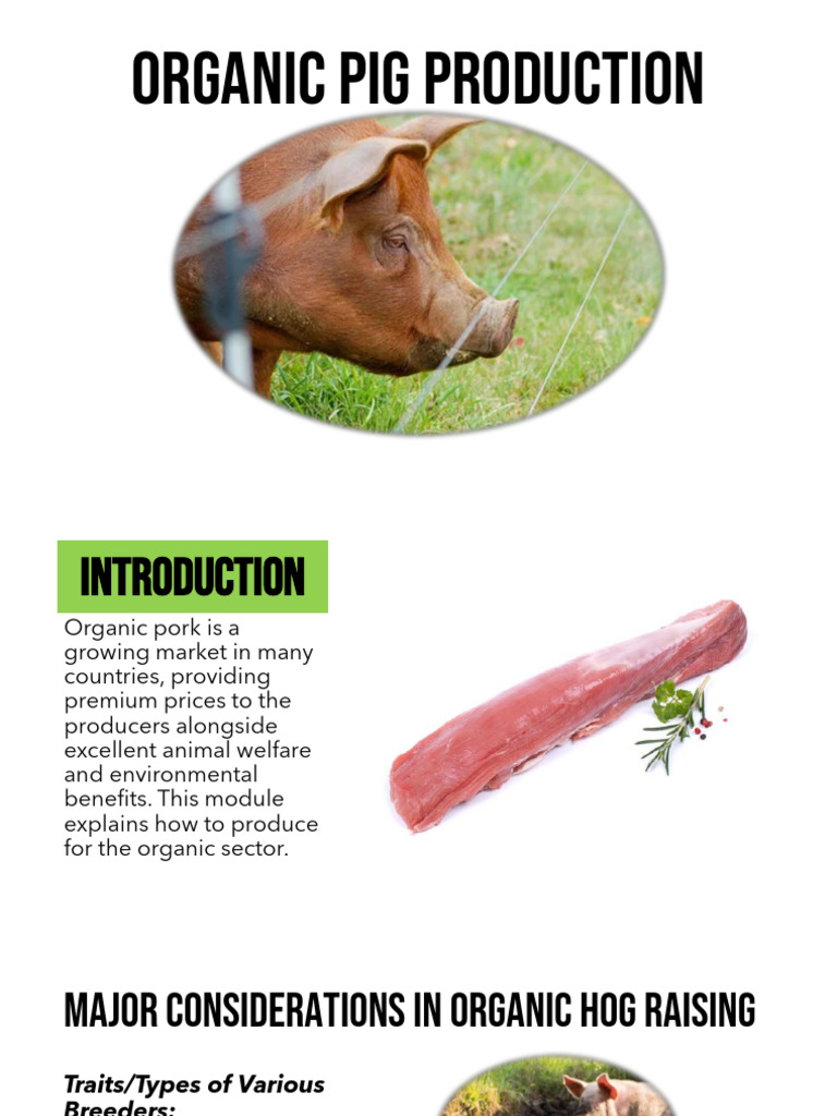 Organic Pig Production | PDF