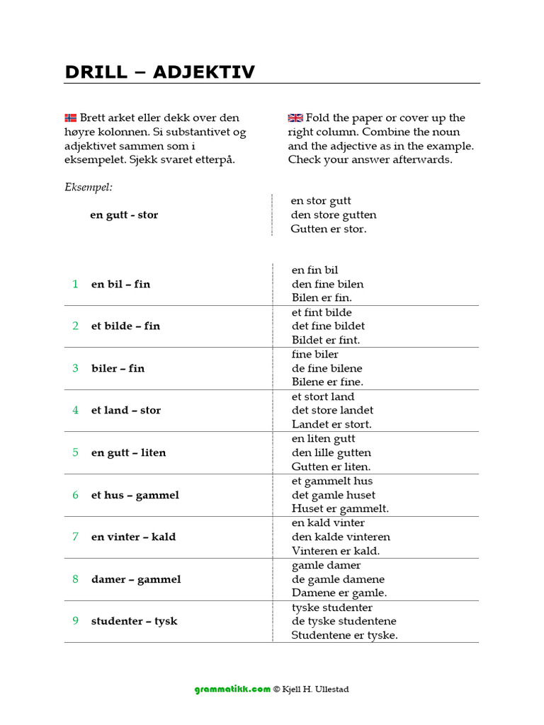 Drill Adjektiv | PDF
