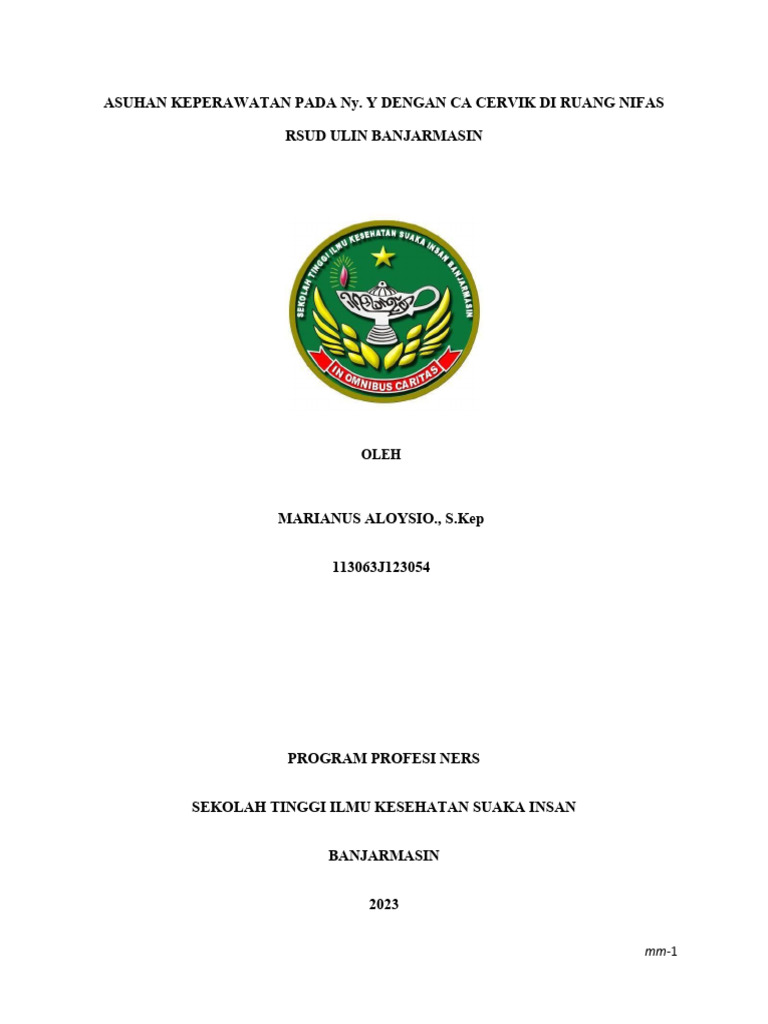 Panduan STASE MATERNITAS 2023 Ners XIII Final | PDF