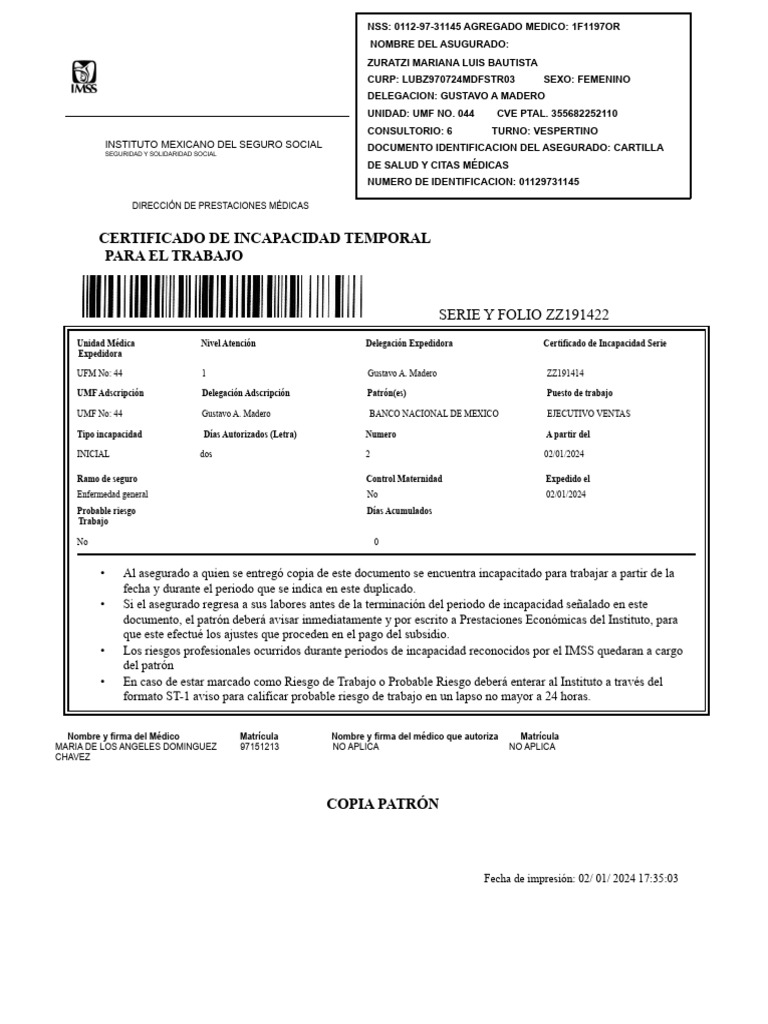 Formato Incapacidad Imss Editable Word | PDF