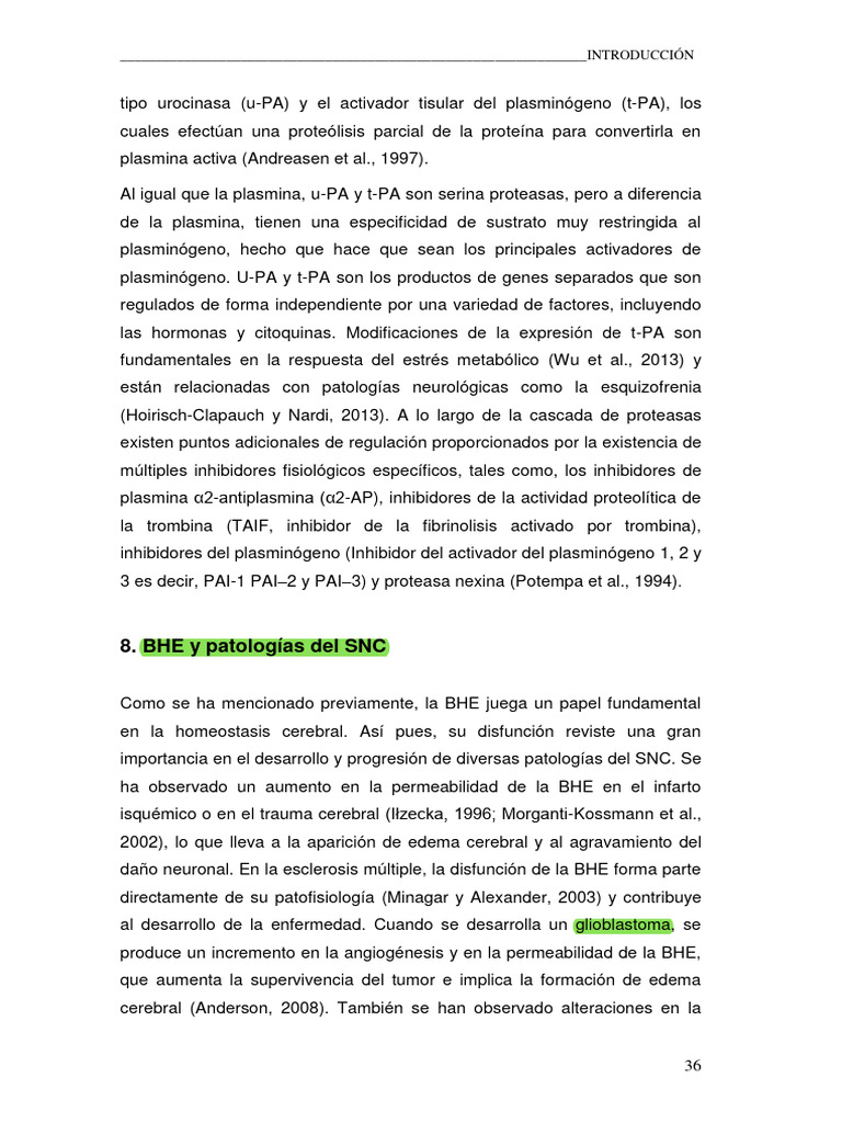 Efecto Del Alcohol en El SNC BHE TD 2017 | PDF