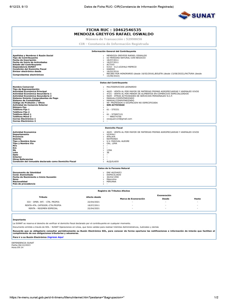 Ficha Ruc Rafa-1 | PDF