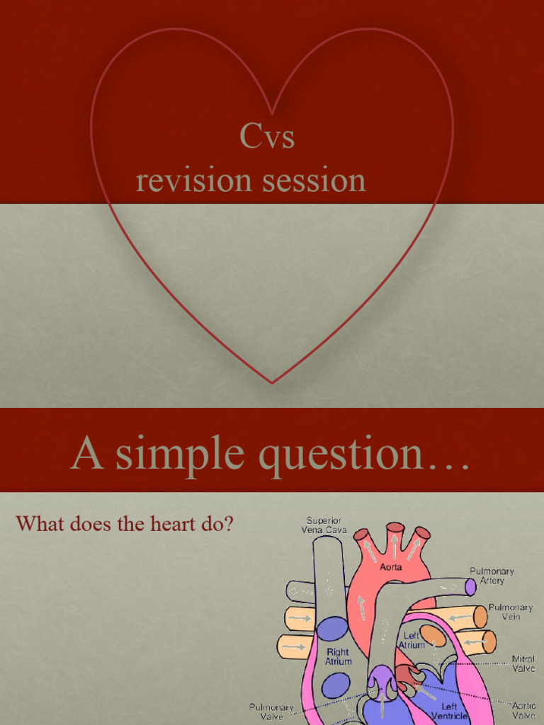CVS Revision Lecture | PDF