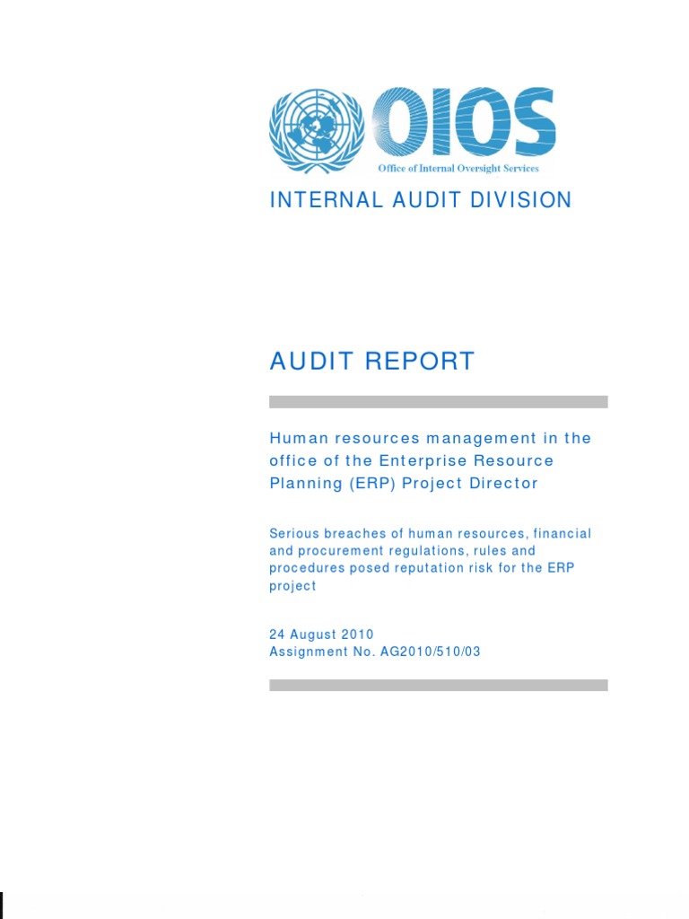 Audit On ERP Implementation UN PWC | PDF | Internal Audit | Enterprise ...