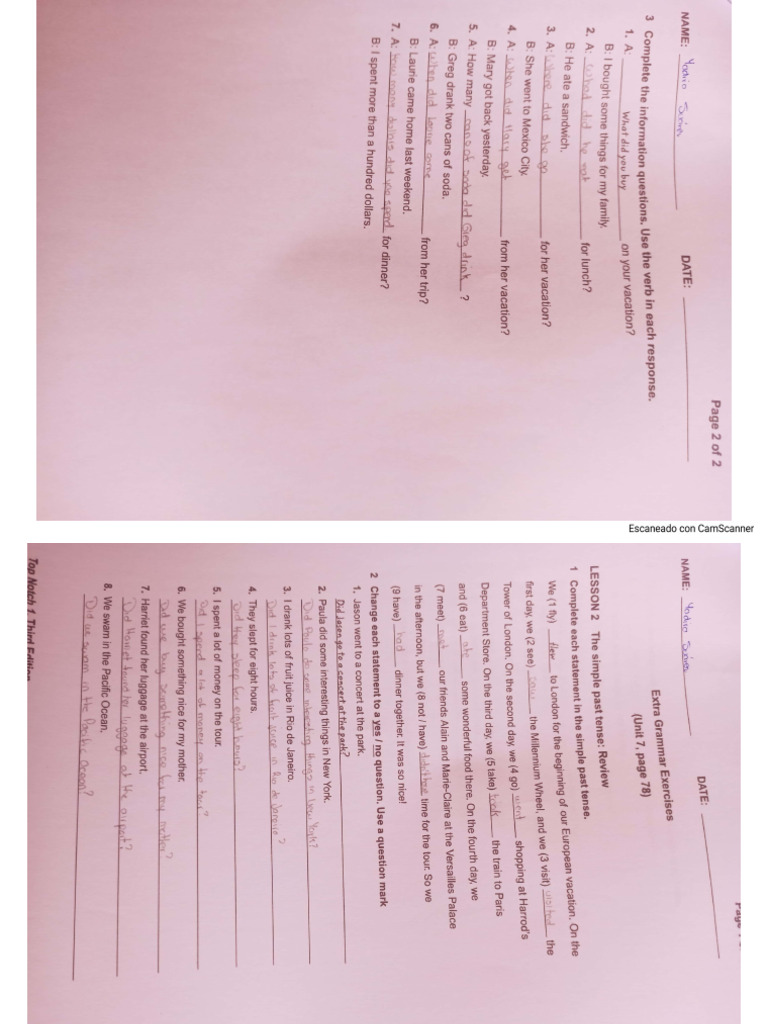 Grammar Practice Simple Past Exercices. | PDF Grammar Practice Simple Past Exercices. | PDF