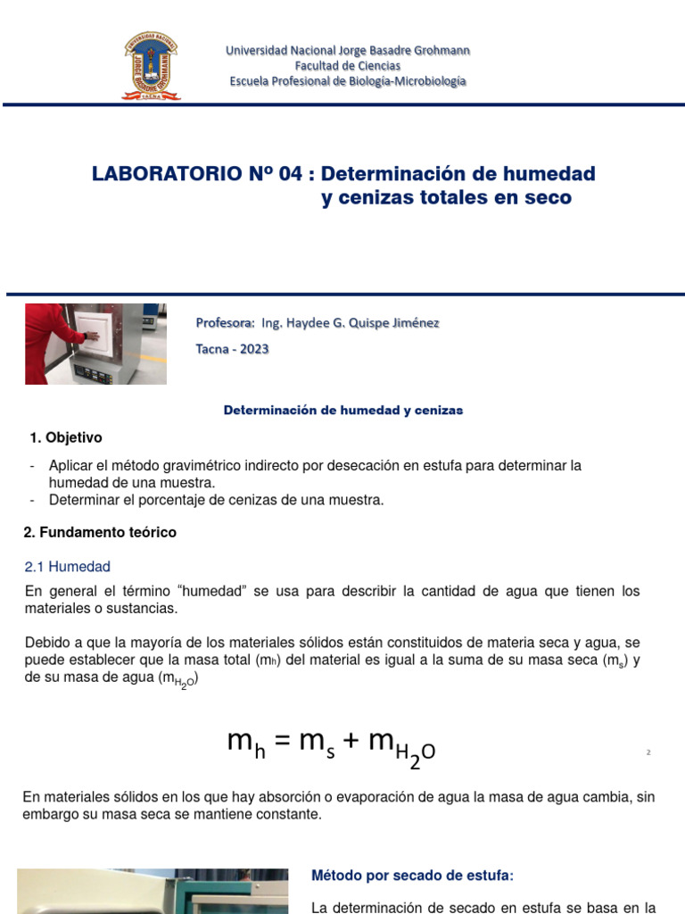LABORATORIO 04 - Determinación de Humedad y Cenizas | PDF