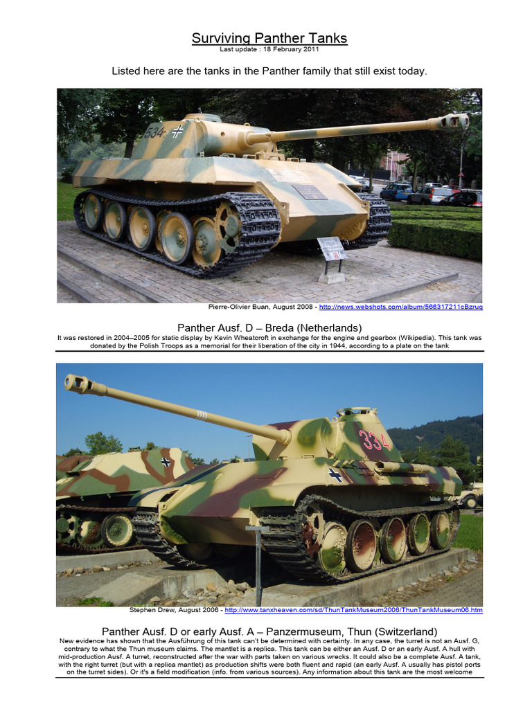 Surviving Panthers | PDF | History | Young Adult