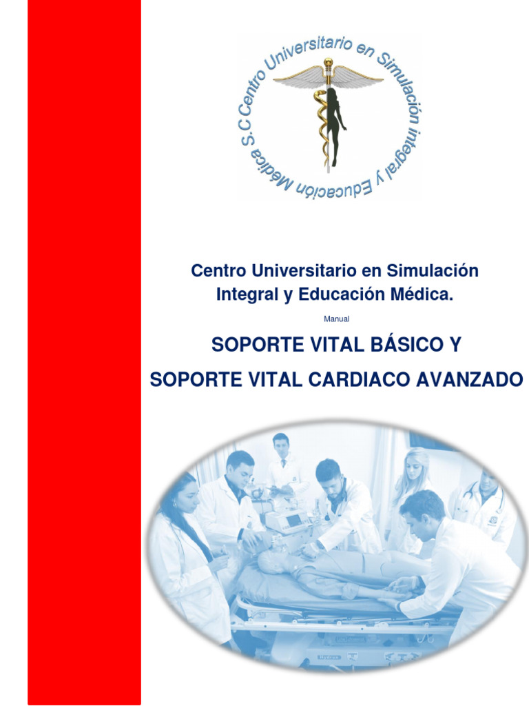 Manual Csmi 2023 | PDF