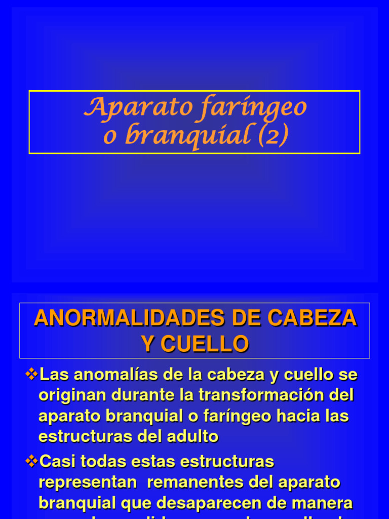 Aparato Faríngeo | PDF