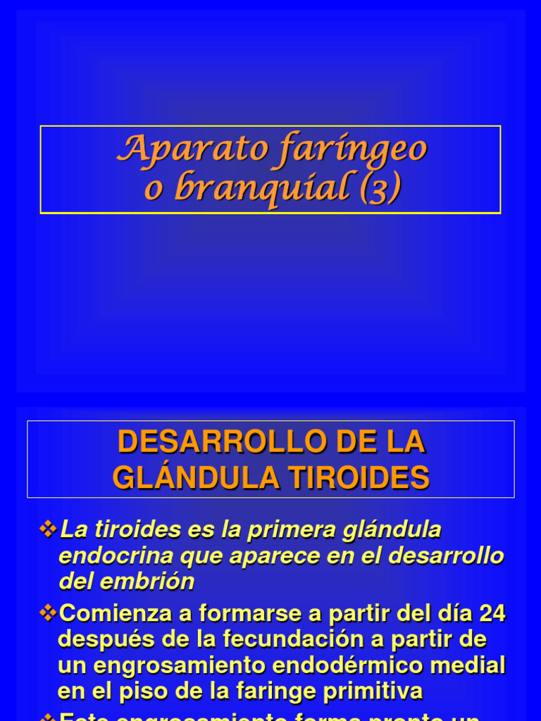 Aparato Faríngeo | PDF
