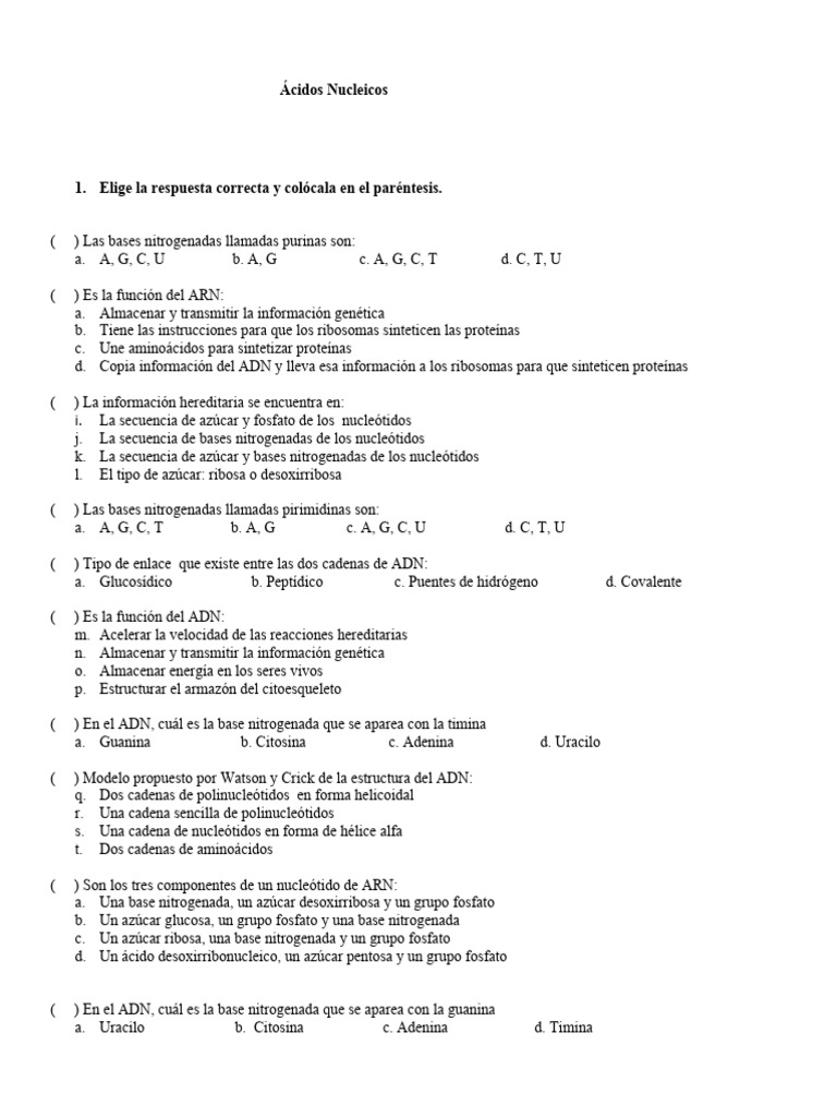 Tarea Ejercicios Sobre ADN y ARN | PDF | Nucleótidos | Adn