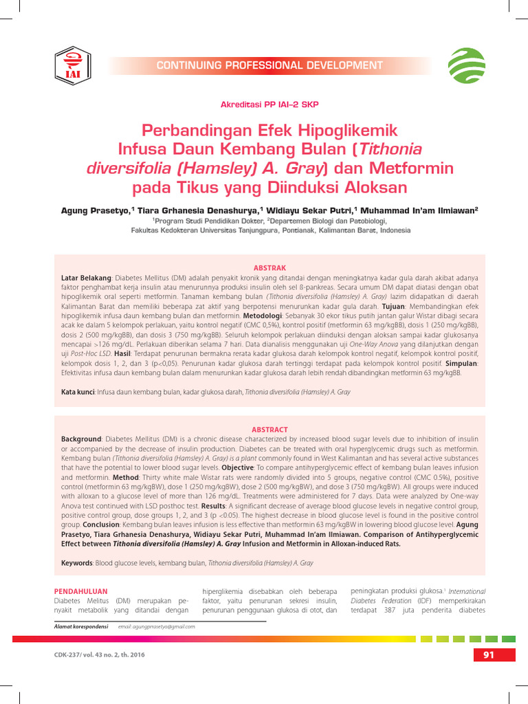 CPD 237-Perbandingan Efek Hipoglikemik Infusa Daun Kembang Bulan ...
