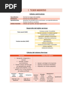 Funciones y morfología de los pericitos | PDF | Capilar | Endotelio